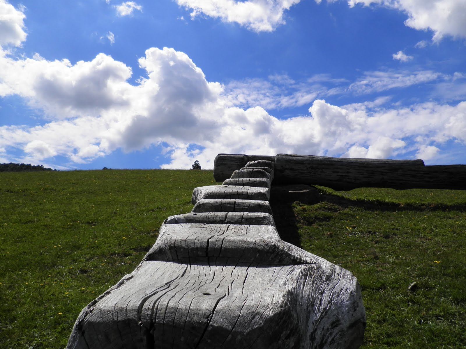 Mari Kita Bersama Ke Syurga